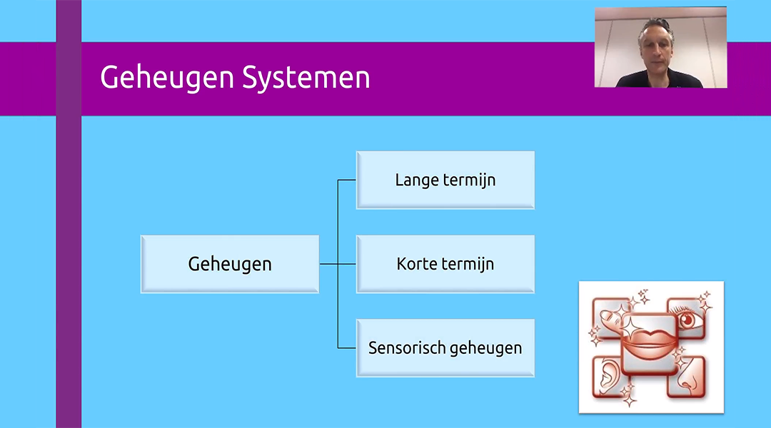 Videotraining | BrainGymmer brain training games - Probeer gratis!