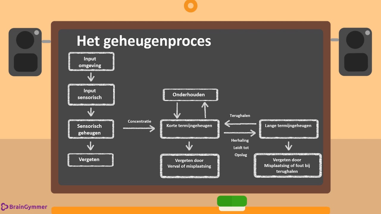 Videotraining | BrainGymmer brain training games - Probeer gratis!