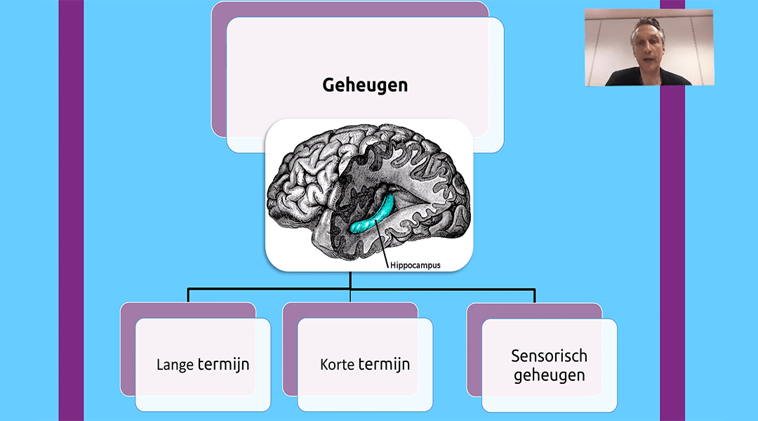 Videotraining | BrainGymmer brain training games - Probeer gratis!